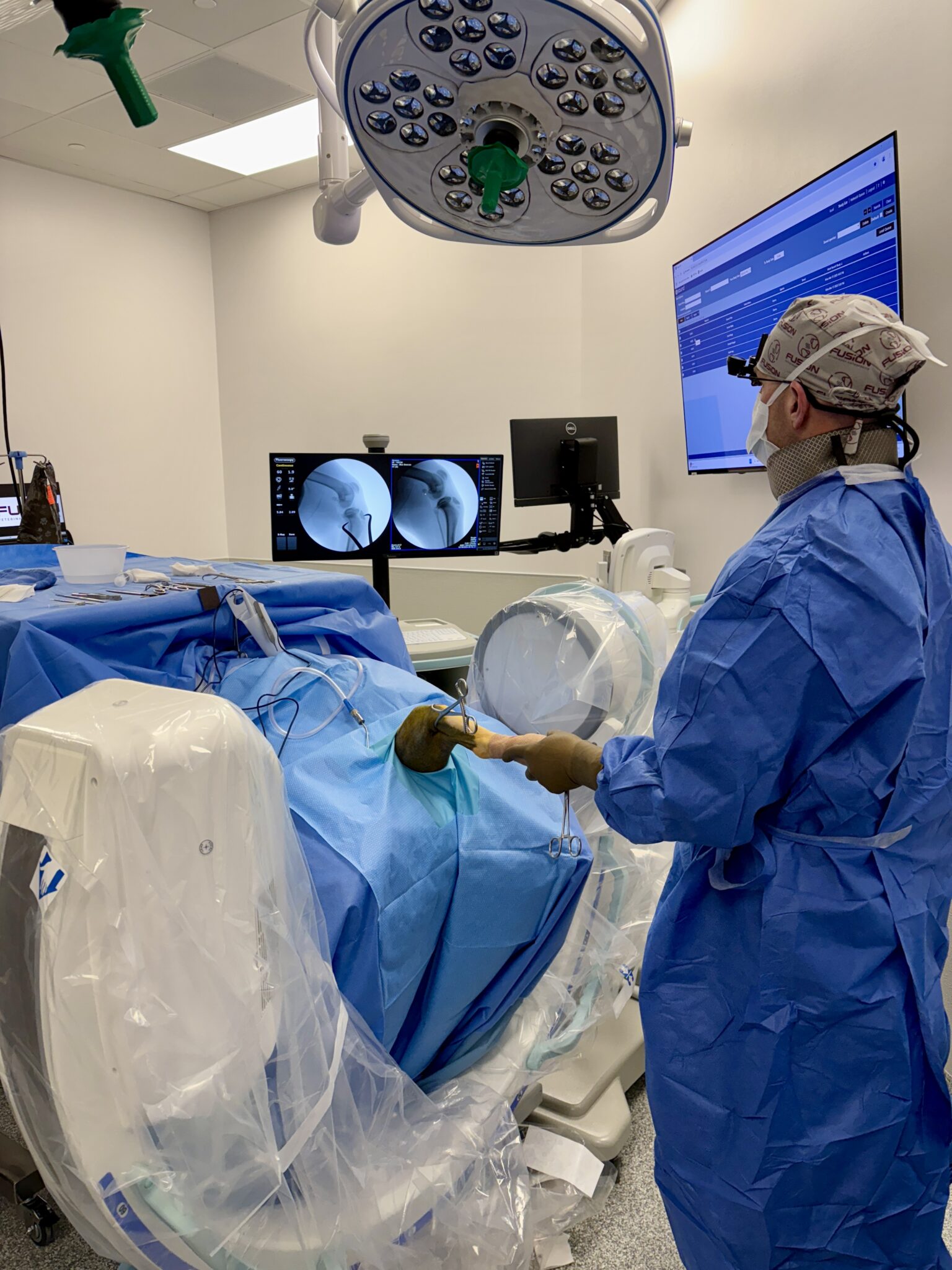 Dog Minimally Invasive & Open Fracture Repair - FUSION VETERINARY ORTHOPEDICS